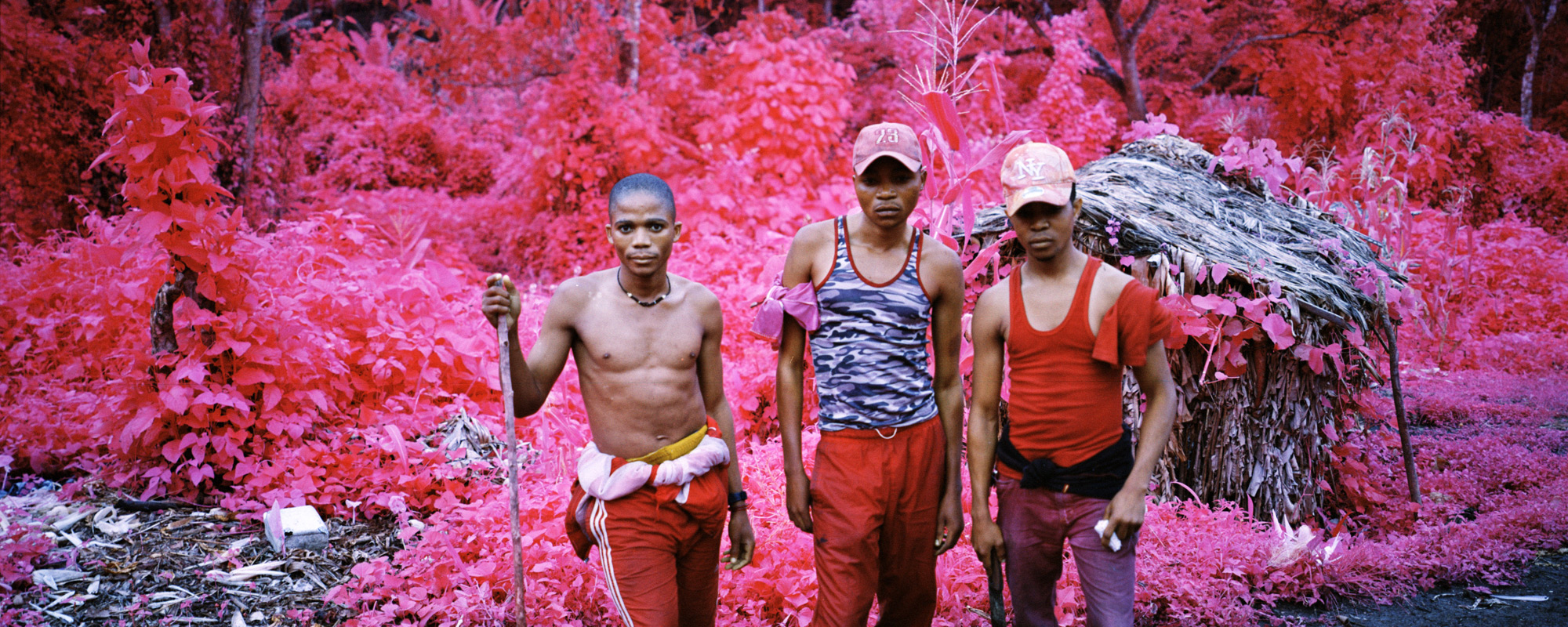 Ethics of Depiction: Landscape, Still-Life, Human - Oakland University ...